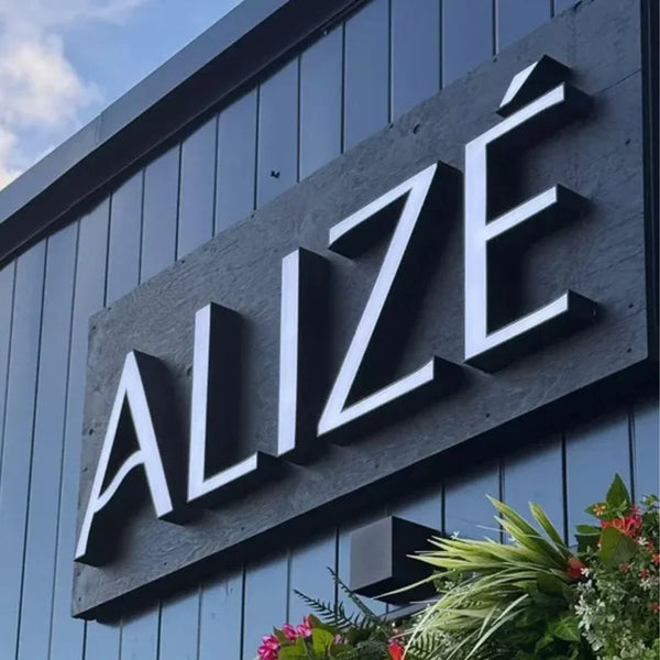 Standard Face-Lit Channel Letters | Business Signs | Neonific - Maximum ...